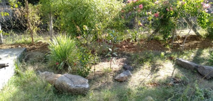 DIY Rock Garden – Farm Project Series | https://kalpavrikshafarms.com